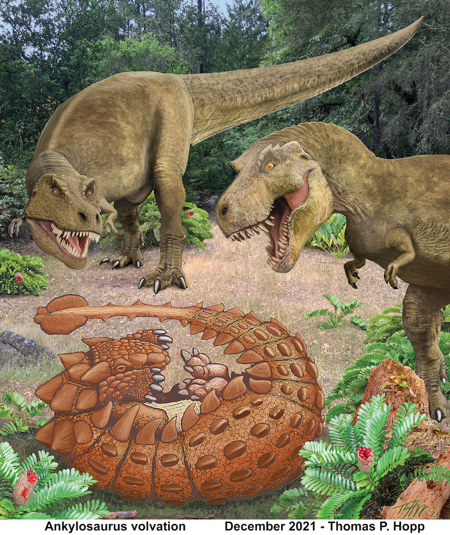 Thomas P Hopp | Thrillers, science fiction, & mysteries