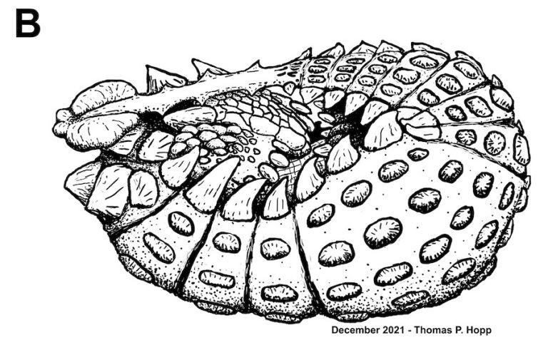 Thomas P Hopp | Thrillers, science fiction, & mysteries